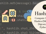 Hashlib Compute Secure Hashes Message Digests In Python